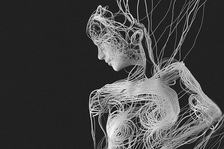 The Components of Fascia